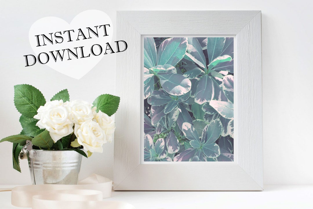 Plant Printable Art Plant Instant Download Printable Wall Art Modern ...