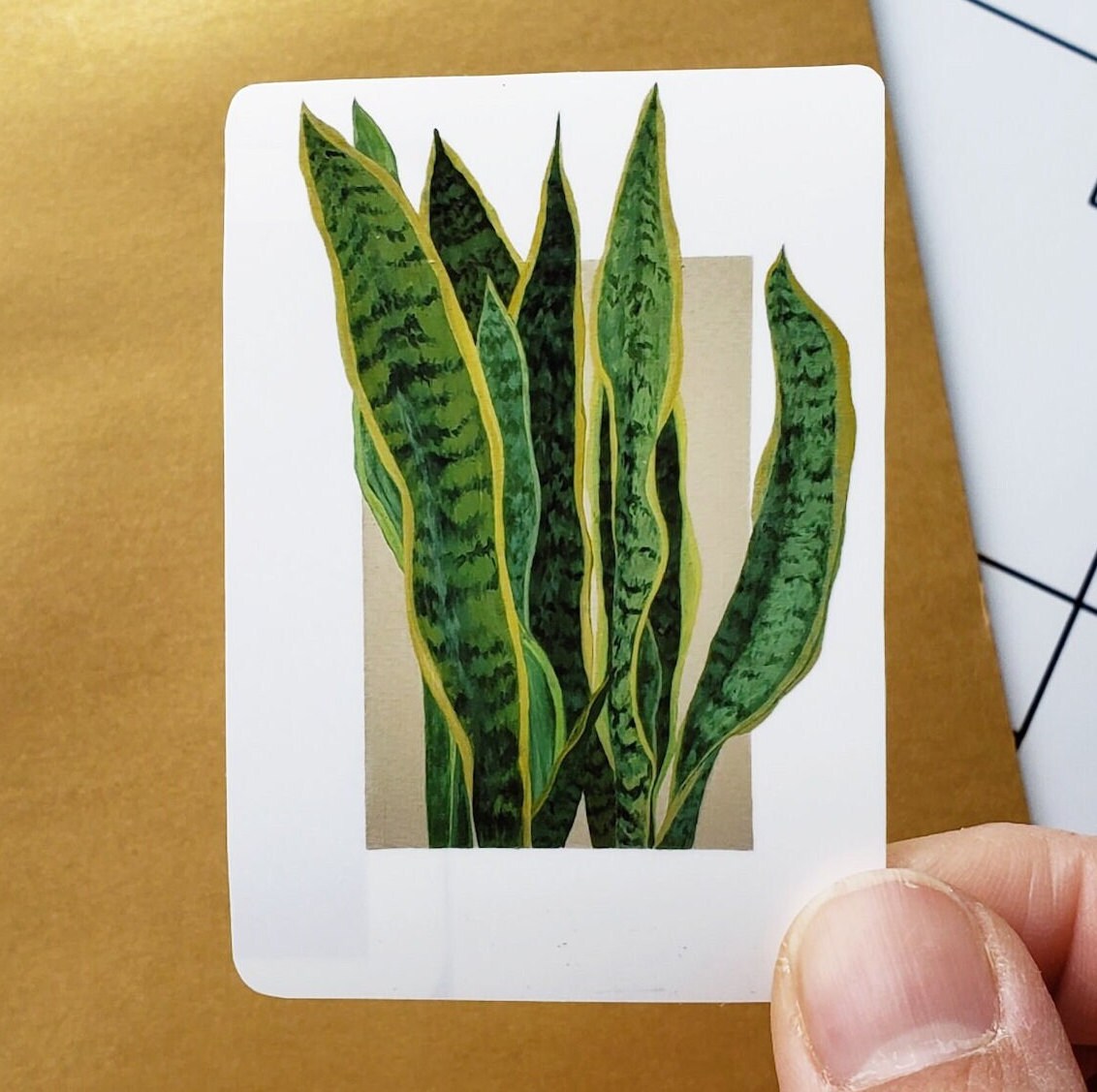 Snake Plant Sticker, Houseplant Vinyl Stickers, Water Bottle Stickers ...