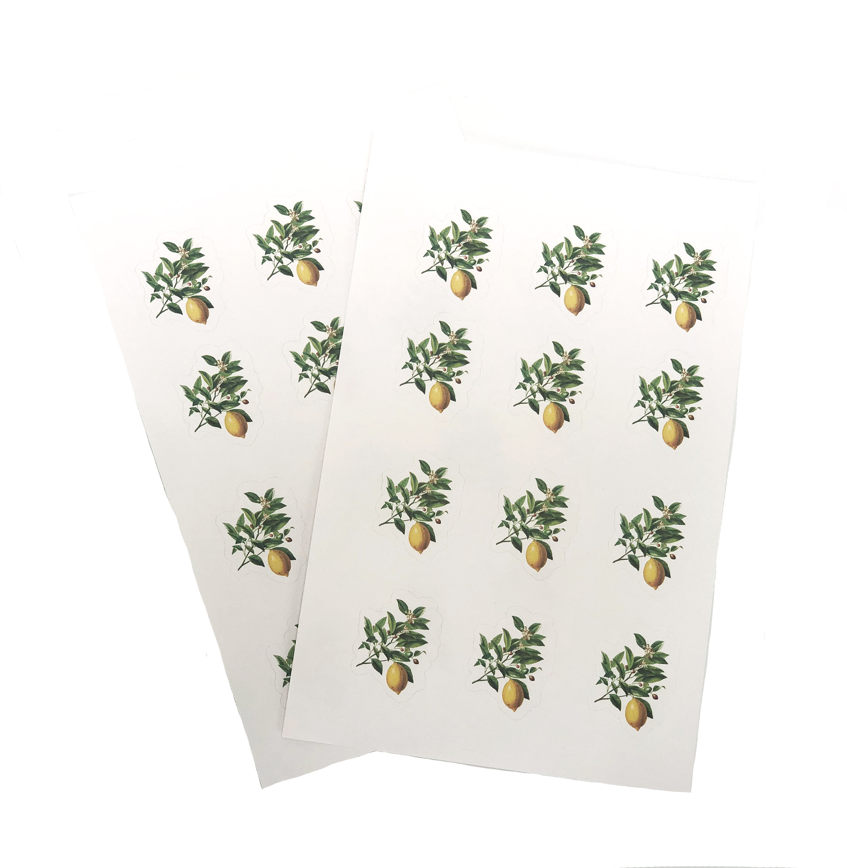 Stickers Lemon Sticker Pack Cute Stickers Journal | Etsy