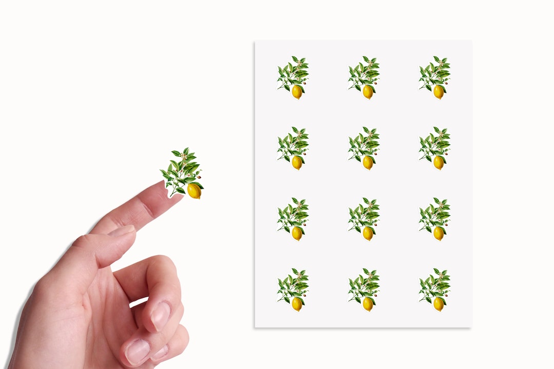 Stickers | Lemon Sticker Pack | Cute Stickers | Journal Stickers ...