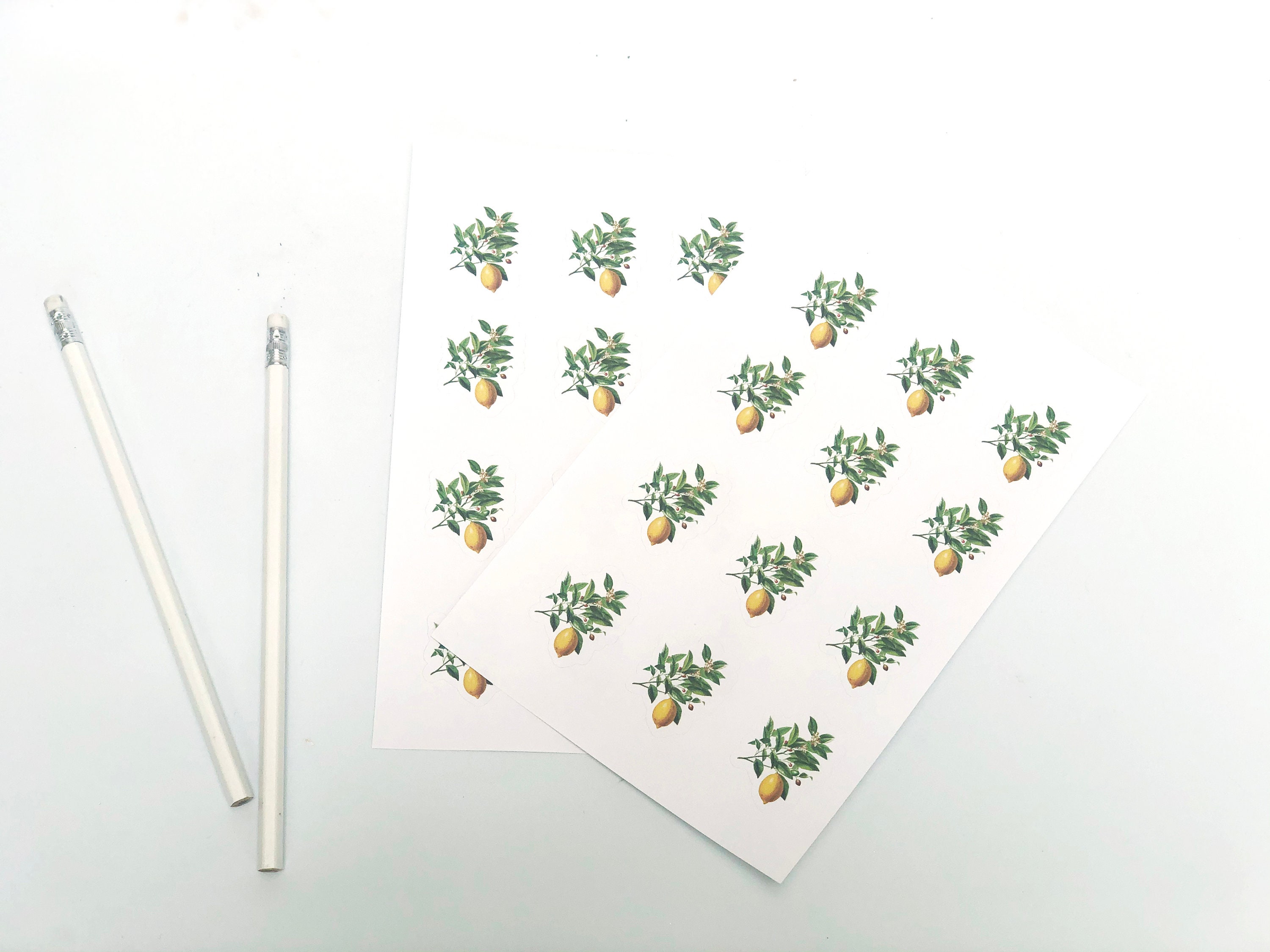 Stickers Lemon Sticker Pack Cute Stickers Journal | Etsy