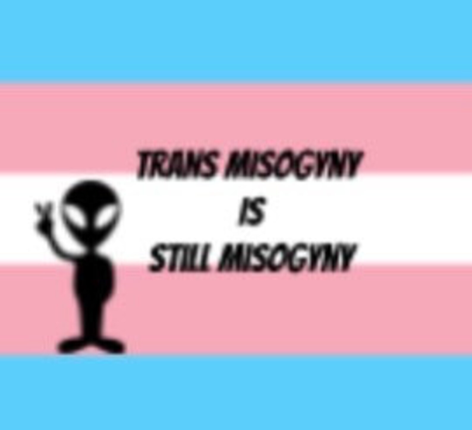 Trans Misogyny is Still Misogyny Anti-terf Pin - Etsy
