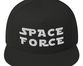Space Force Hat - Etsy