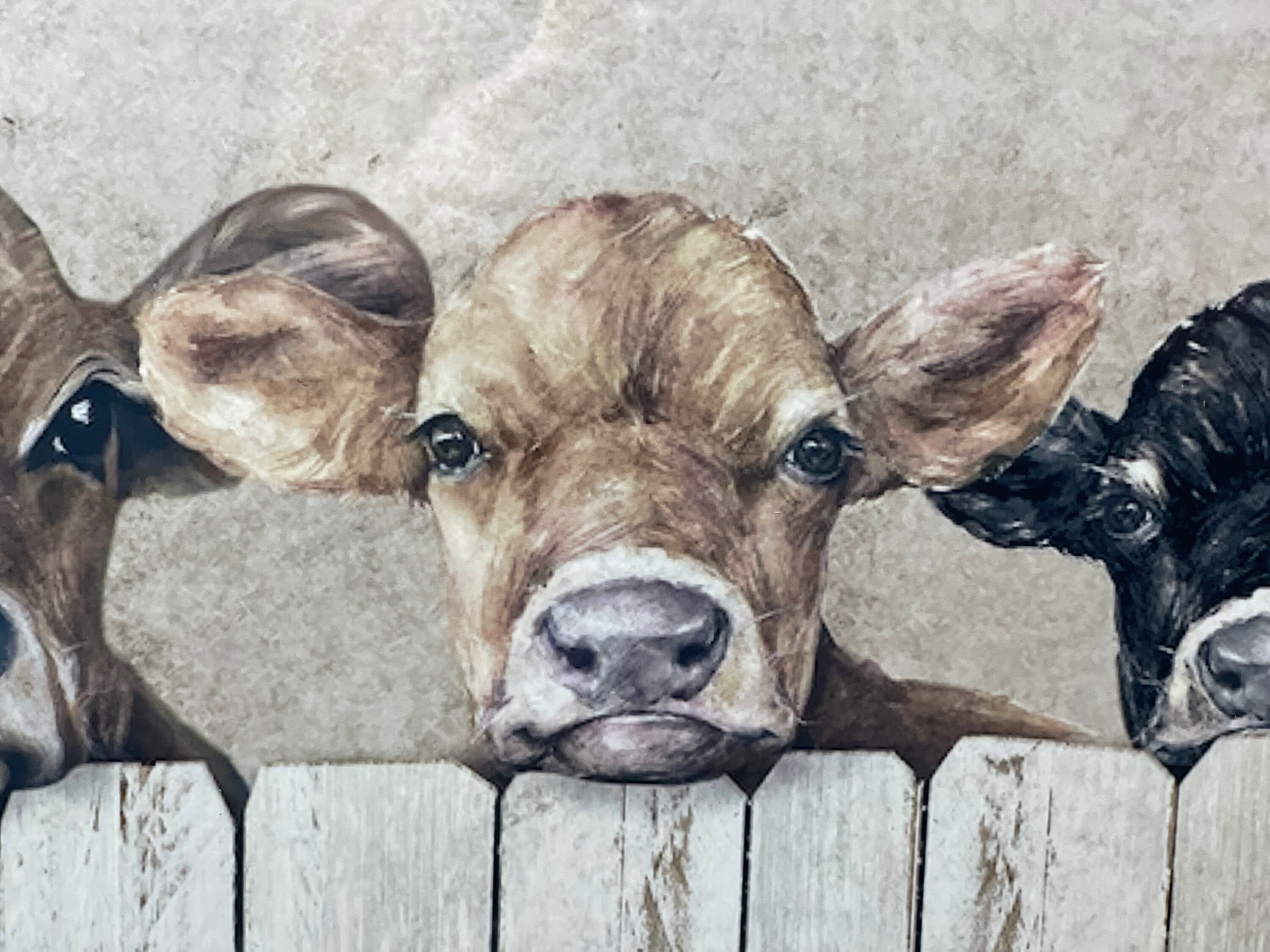 Farmhouse Calf Trio Farmhouse Kitchen Sign | Rustic Distressed | 11"x9 ...