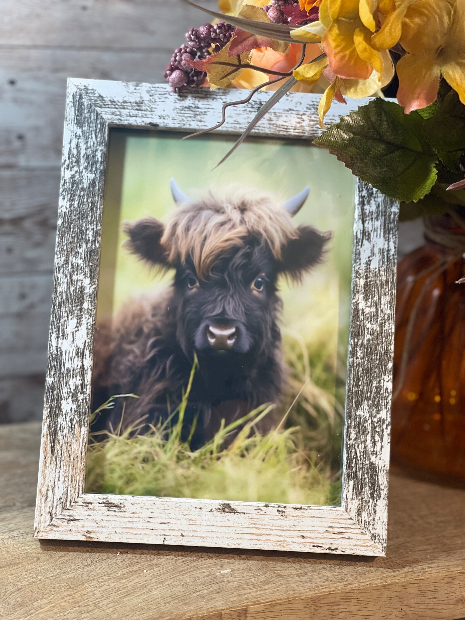 Farmhouse Framed Highland Calf Art, Distressed Frame - Etsy
