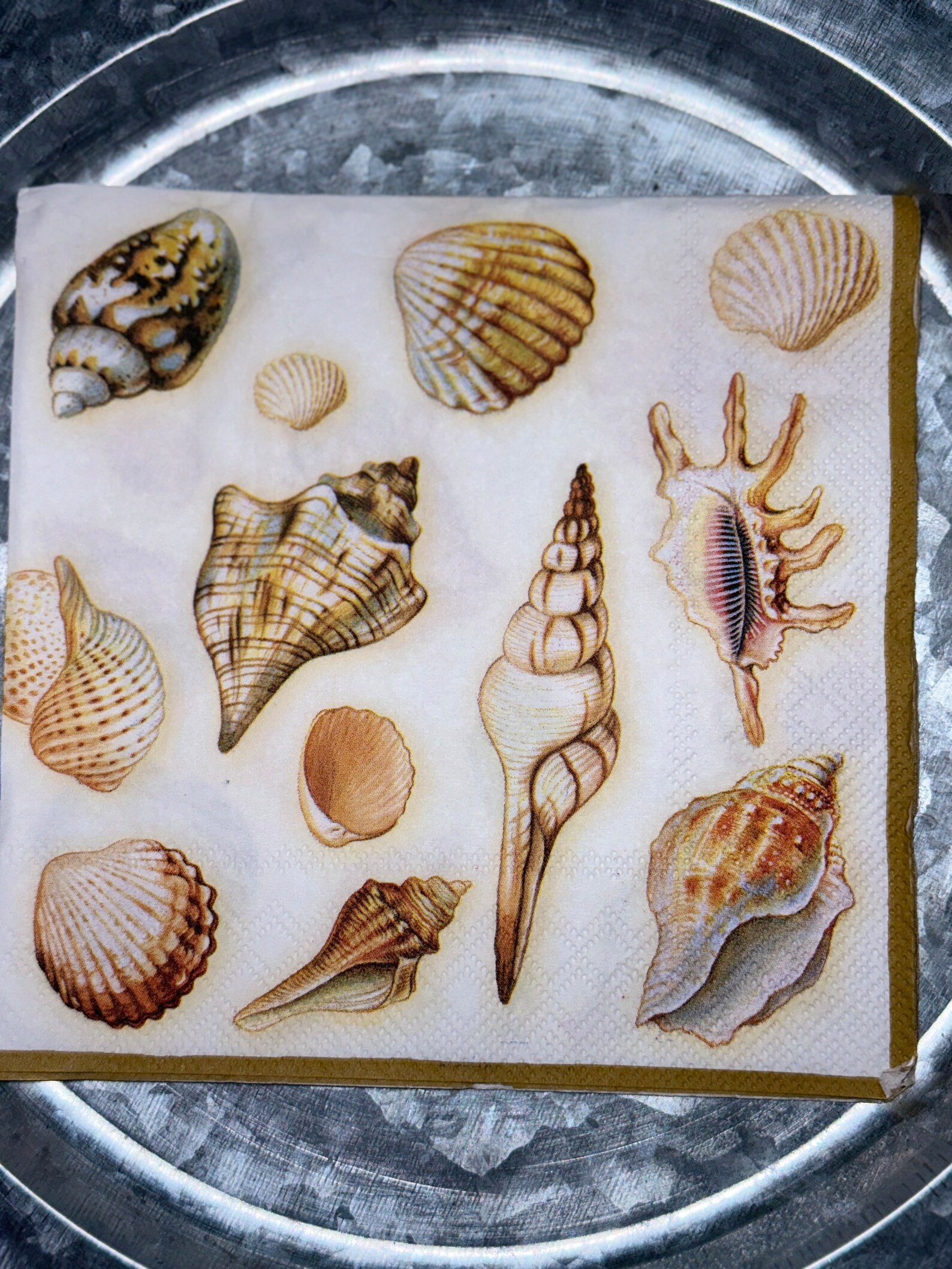 Summer Beach Seashells Decoupage Napkins for Crafting, Set of 2, Lunch ...