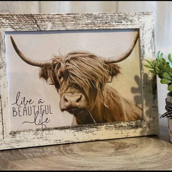 Highland Cow Kitchen Wall Decor - Etsy
