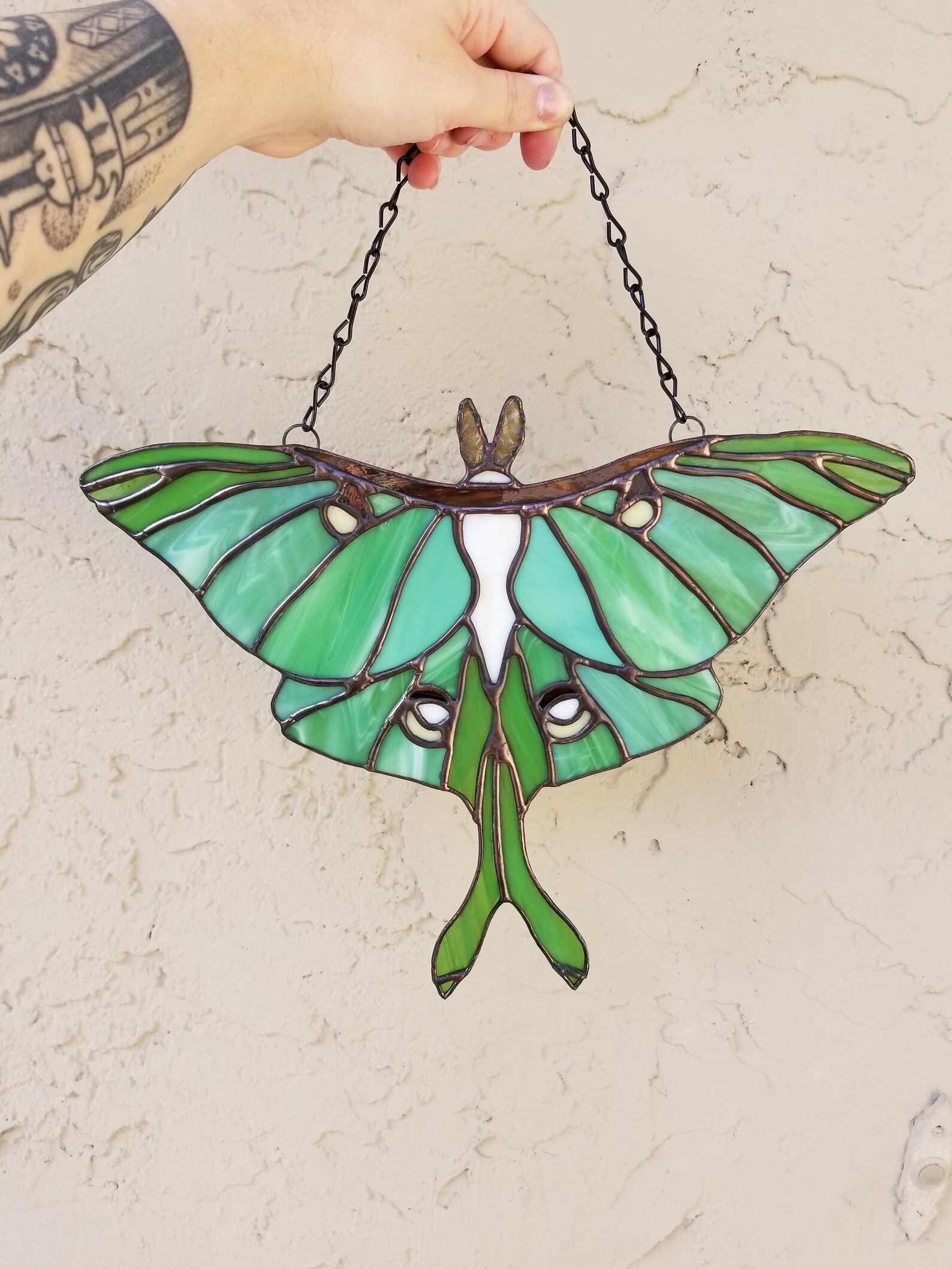 Luna Moth Stained Glass Template Stained Glass Template Luna Moth Moth ...