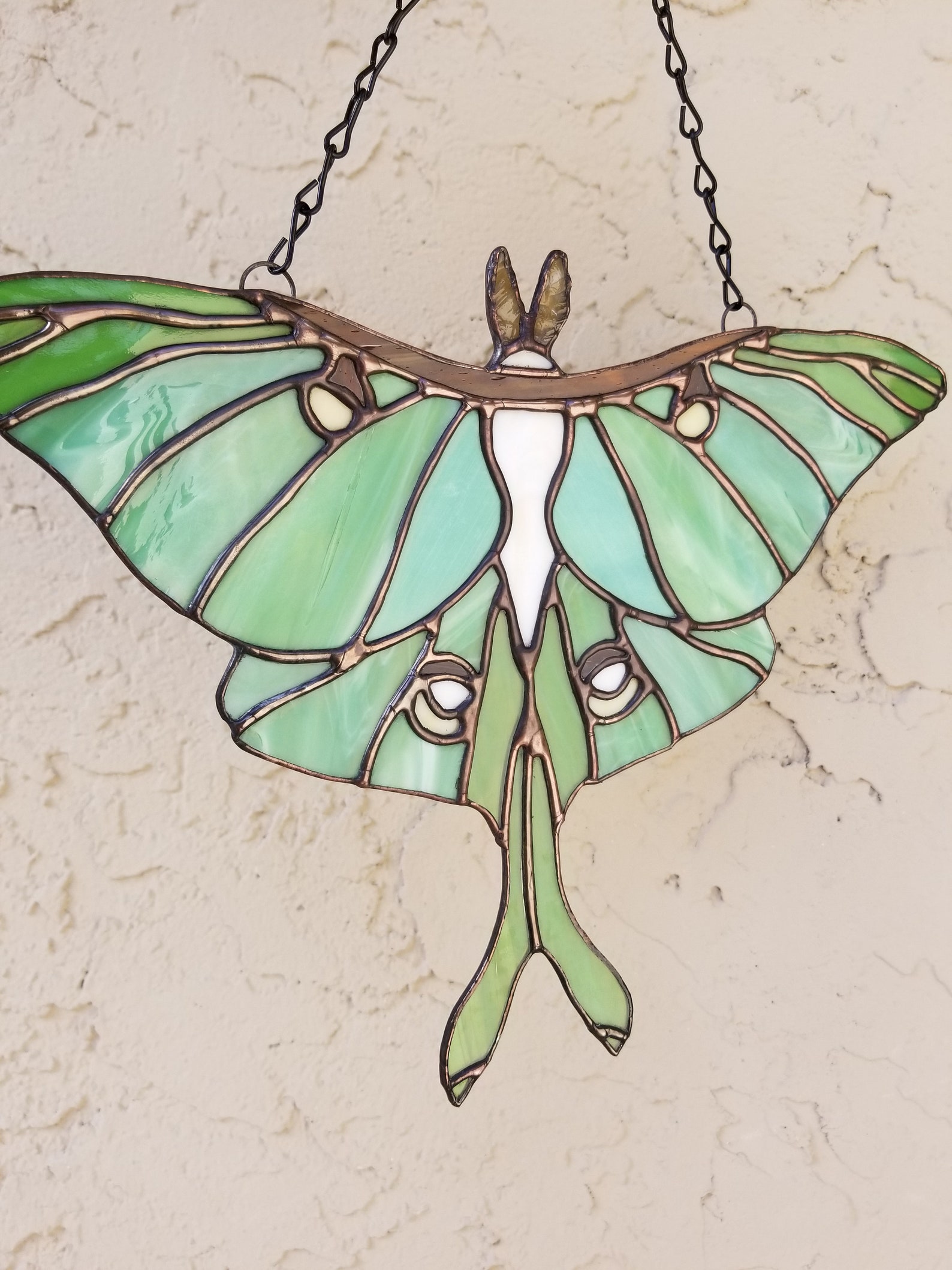 Luna Moth Stained Glass Template Stained Glass Template Luna Moth Moth ...