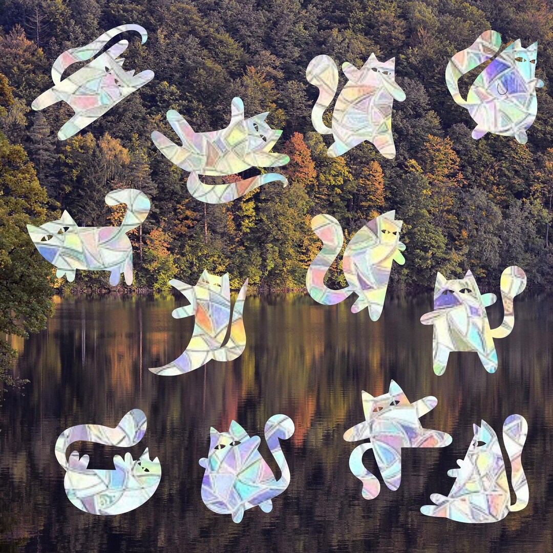 12 Funny Cats Suncatcher Sticker, Kittens Rainbow Maker Decal ...