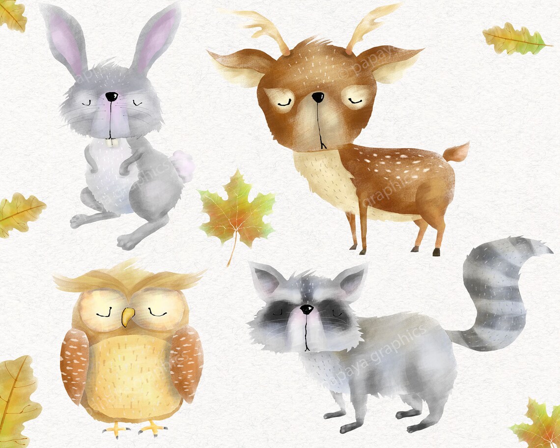 Whimsical Woodland Animals Clipart, Watercolor Clipart, Whimsical ...