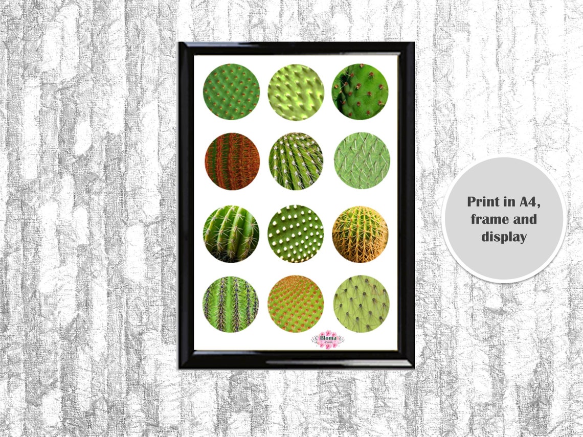 Cactus/cacti Art PRINTABLE Poster Wall Art Download Geometric Circle ...