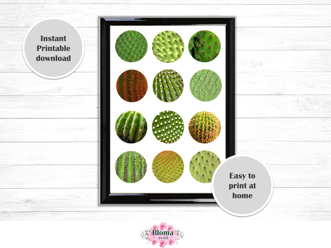 Cactus/cacti Art PRINTABLE Poster Wall Art Download Geometric Circle ...