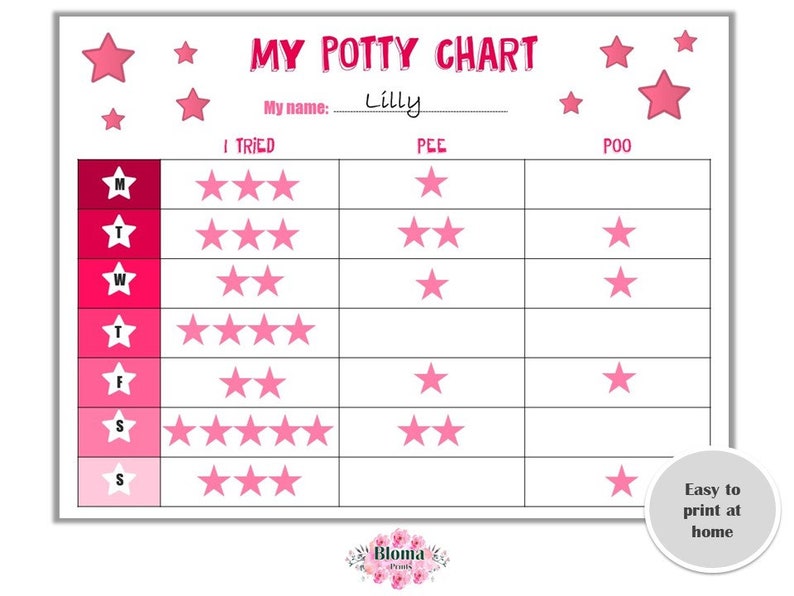 Pink Potty Chart PRINTABLE Download Potty Training Toilet - Etsy UK