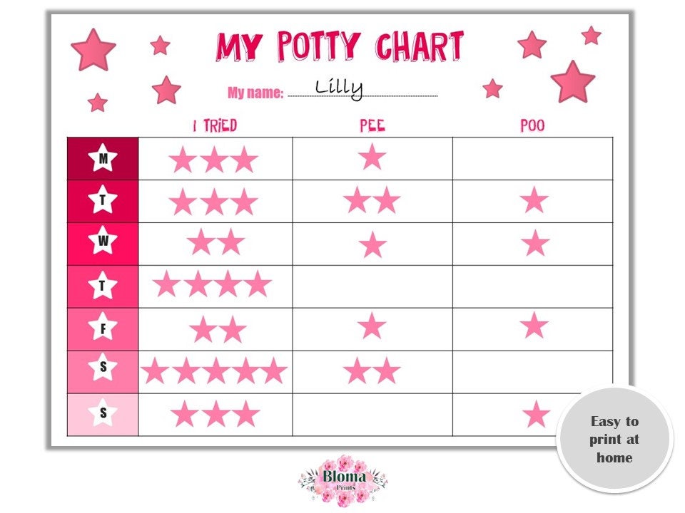 Pink Potty Chart PRINTABLE Download Potty Training Toilet - Etsy UK