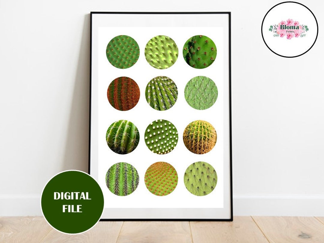 Cactus/cacti Art PRINTABLE Poster Wall Art Download Geometric Circle ...