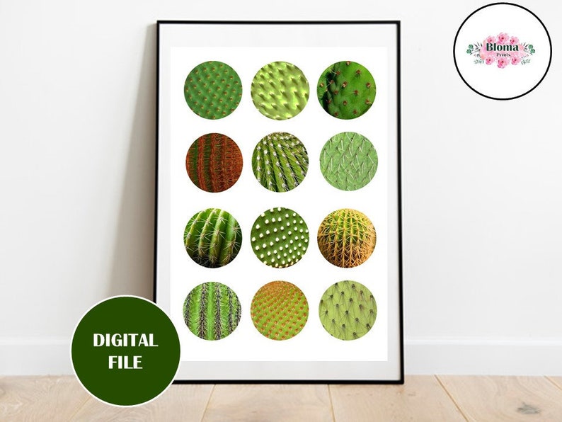 Cactus/cacti Art PRINTABLE Poster Wall Art Download Geometric Circle ...