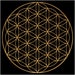 Sacred Geometry Symbol, “flower of Life” Design, Remarkably Refined ...