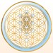 Metatron Cube Inside A Tree of Life Inside A Flower of Life , High ...