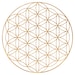Sacred Geometry Symbol, “flower of Life” Design, Remarkably Refined ...