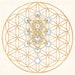 Metatron Cube Inside A Tree of Life Inside A Flower of Life , High ...