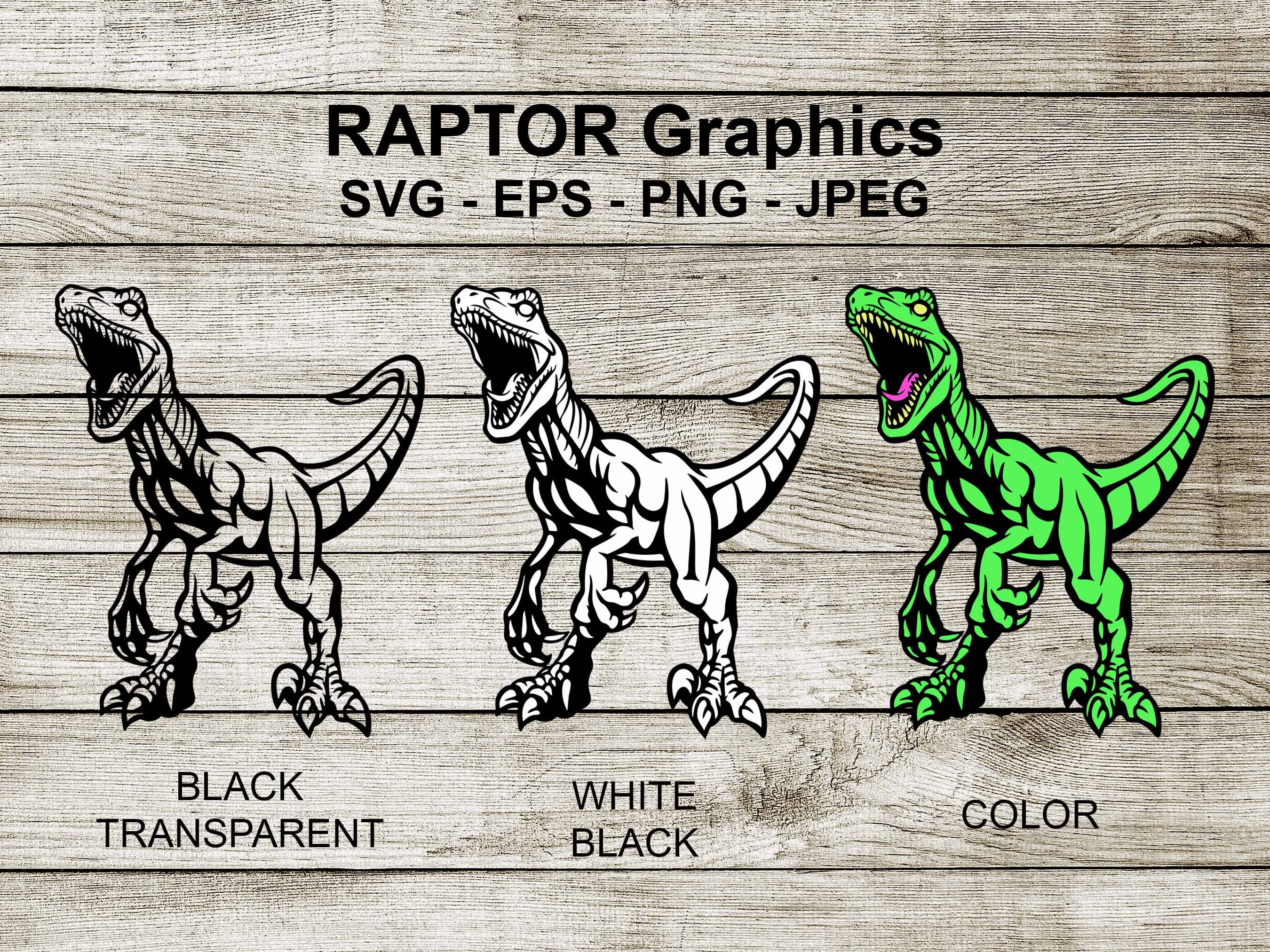 Raptor Dinosaur Graphic, T Rex, Fossil, Jurassic, Svg, Png. Cricut ...