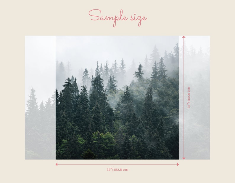 Forest in the Mist Mural | Removable Self-adhesive Wallpaper ...