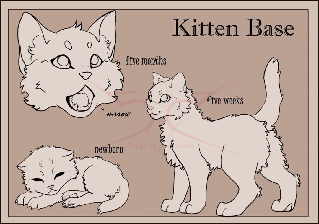 Kitten Base Feral Cat Warrior Cats Feline Lineart Base Pack Psd & Png ...