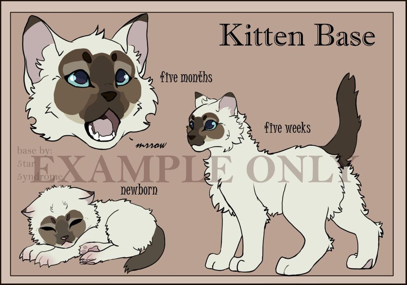 Kitten Base Feral Cat Warrior Cats Feline Lineart Base Pack Psd & Png - Etsy