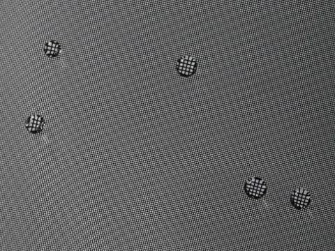 Pollen Screen Mesh 30"by 10' - Etsy