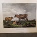 Vintage Farmhouse Cow Scene Etching. Unframed Kitchen Decor - Etsy
