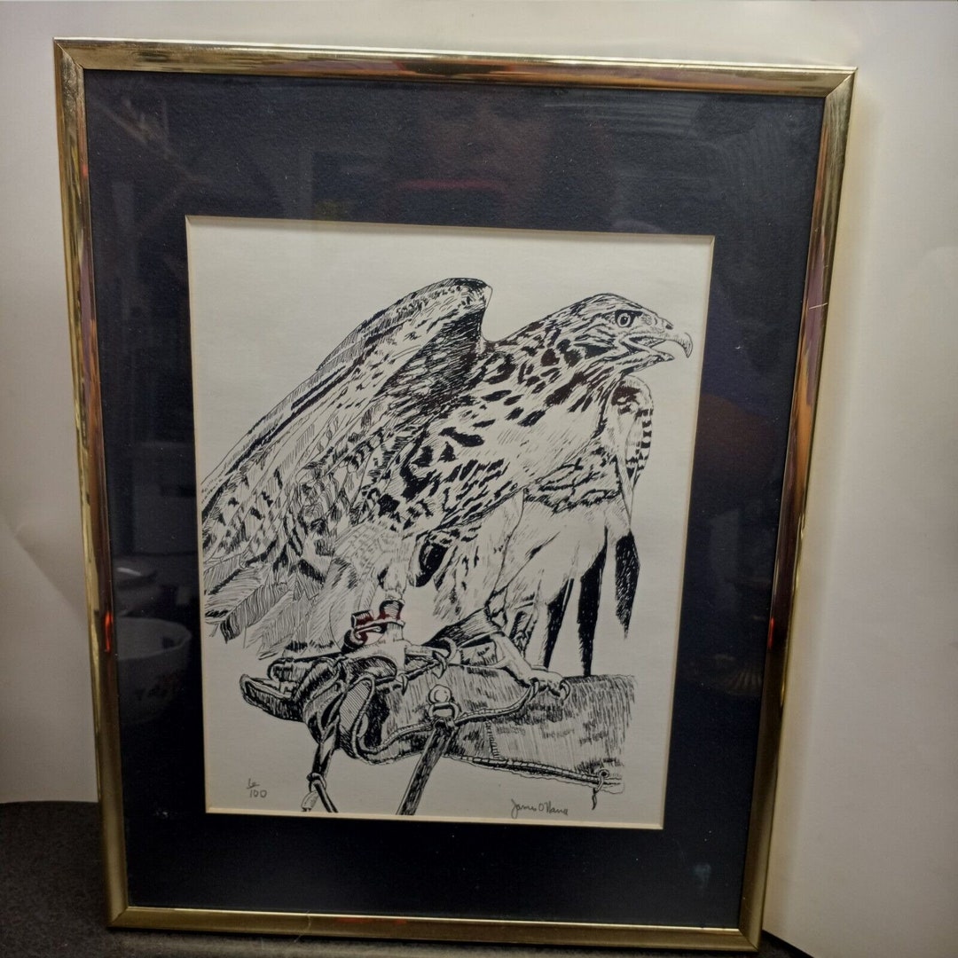 Great Framed Pen Ink Bird Drawing Numbered Signed Lodge Cabin ...