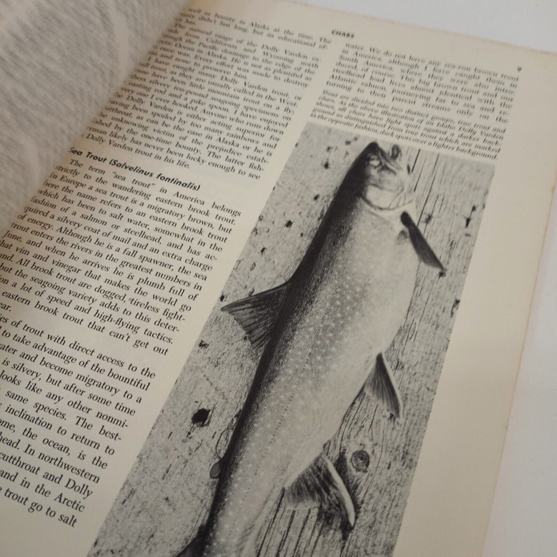 Vintage the Trout Fisherman's Bible Book by Dan Holland - Etsy
