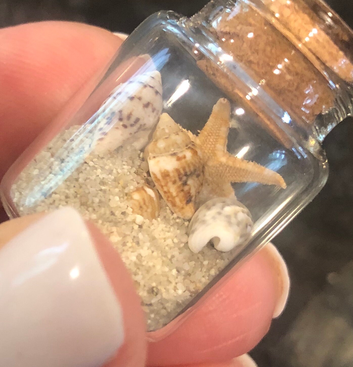 Mini Beach in a Bottle - Etsy