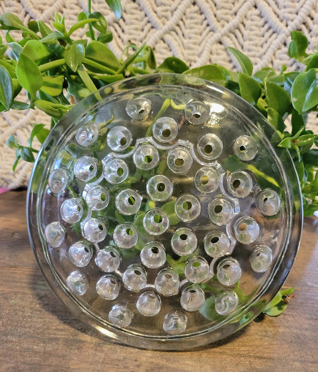 Amazing 43 Hole Clear Glass Flower Frog - 1930's - Etsy