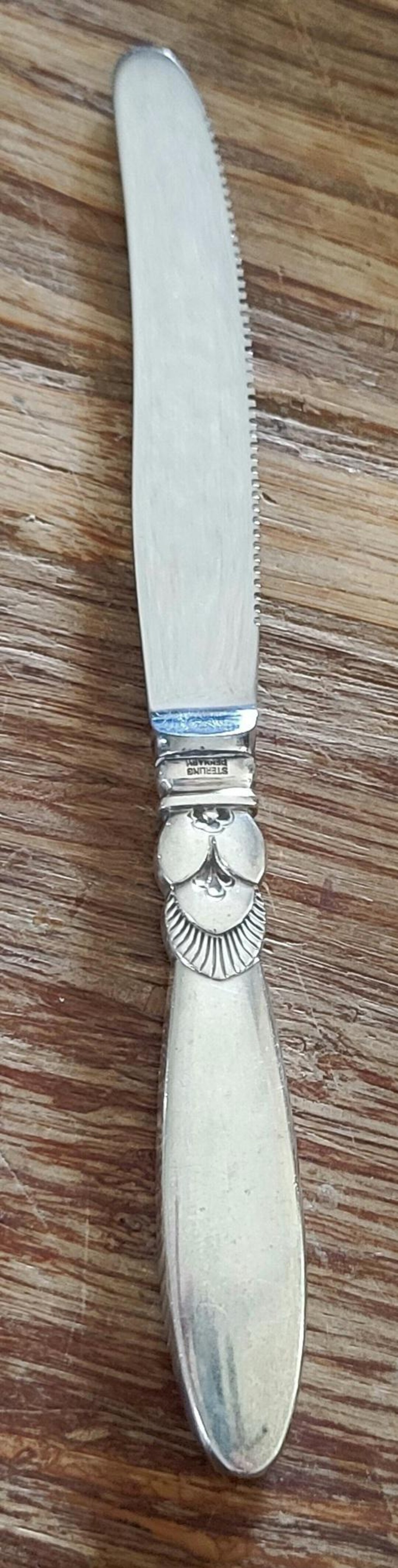 Georg Jensen Cactus Fruit Knife — Sterling Silver & Stainless Steel ...