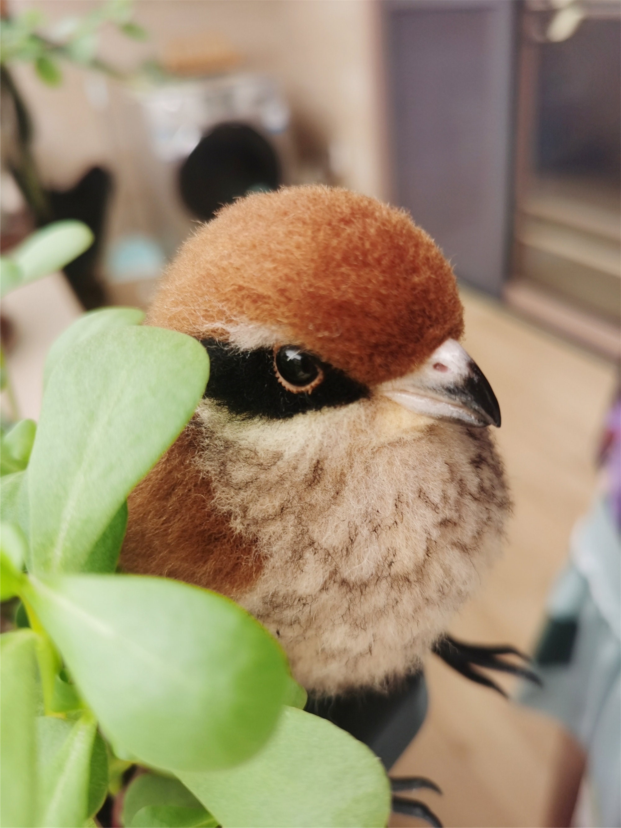 Felted Lovebird Doll,felted Parrot Ragdoll,crochet Plush Parrot Gifts ...