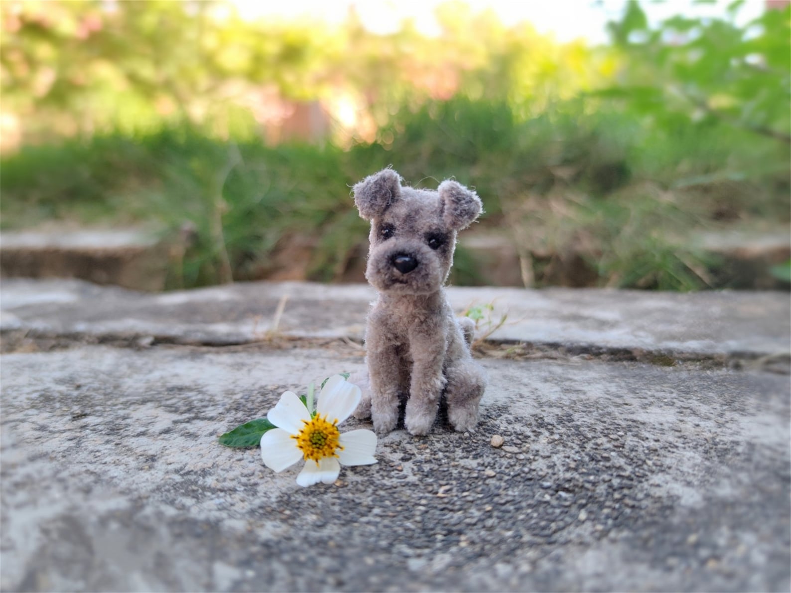 Miniature Brown Teddy Dog Toy,standard Schnauzer Pet Dogs,poodle ...
