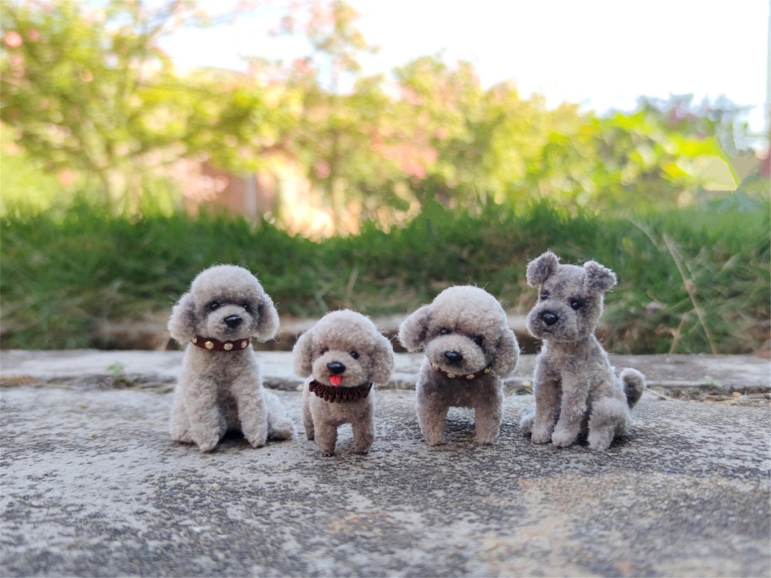 Miniature Teddy Dog Toys,standard Schnauzer Pet Dogs,gray Poodle ...