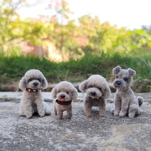 Miniature Brown Teddy Dog Toy,standard Schnauzer Pet Dogs,poodle ...