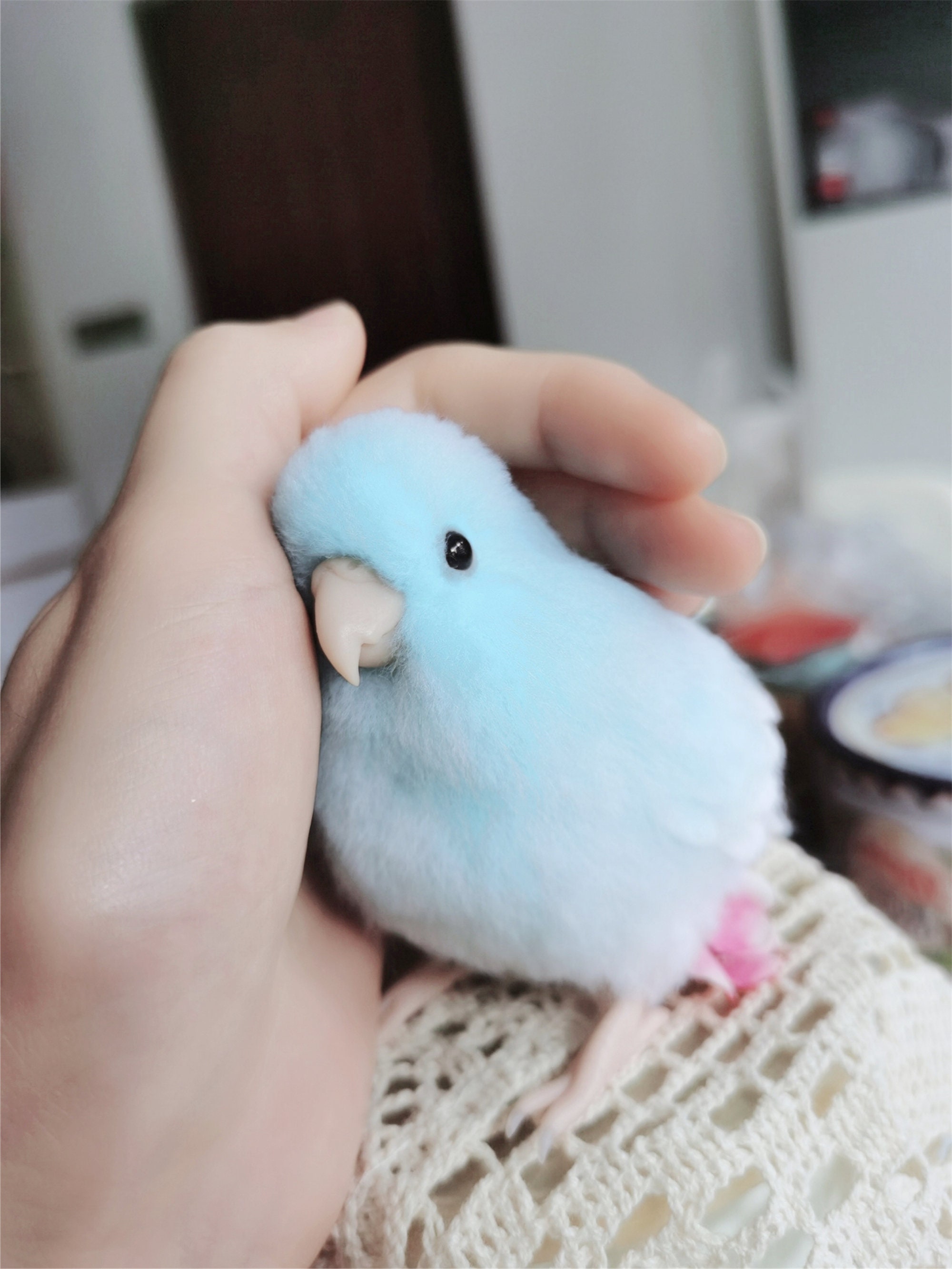 Felted Lovebird Doll,felted Parrot Ragdoll,crochet Plush Parrot Gifts ...