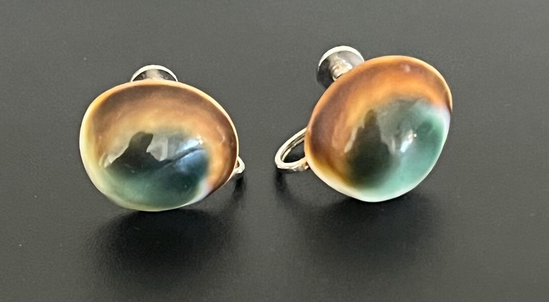 Vintage Operculum Natural Shiva Eye Shell Silvertone Screwback Earrings ...