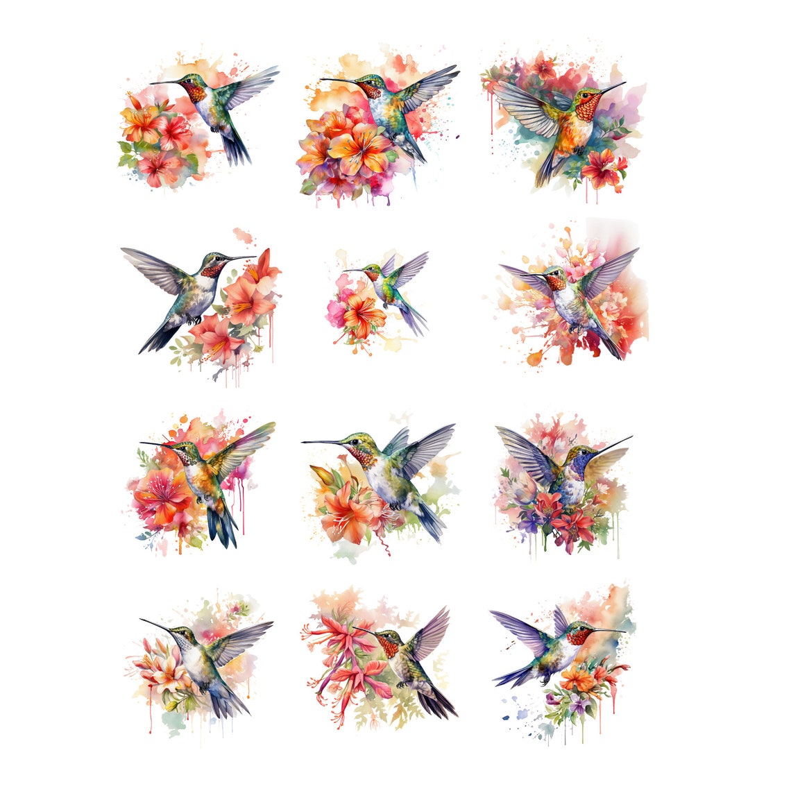 12-whimsical Hummingbird Watercolor in a Botanical Garden - Etsy