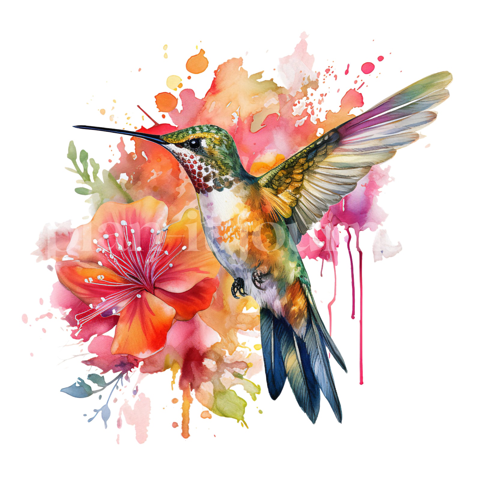 12-whimsical Hummingbird Watercolor in a Botanical Garden - Etsy