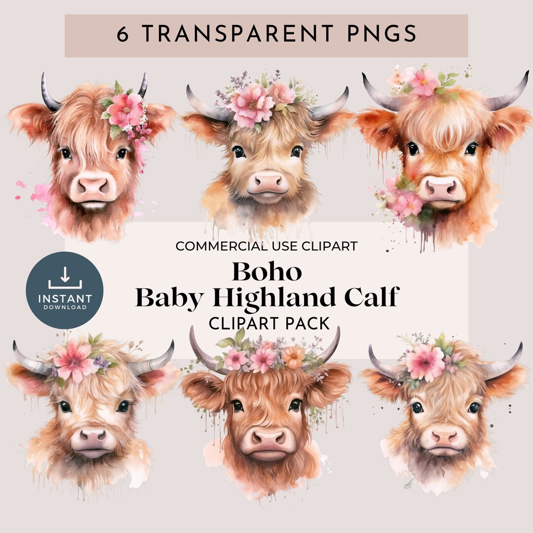 Boho Baby Highland Cow Watercolor Clipart Set for Commercial - Etsy