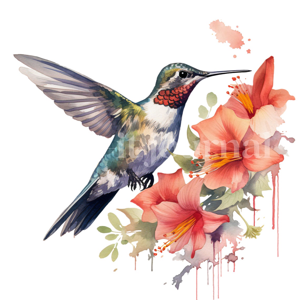 12-whimsical Hummingbird Watercolor in a Botanical Garden - Etsy
