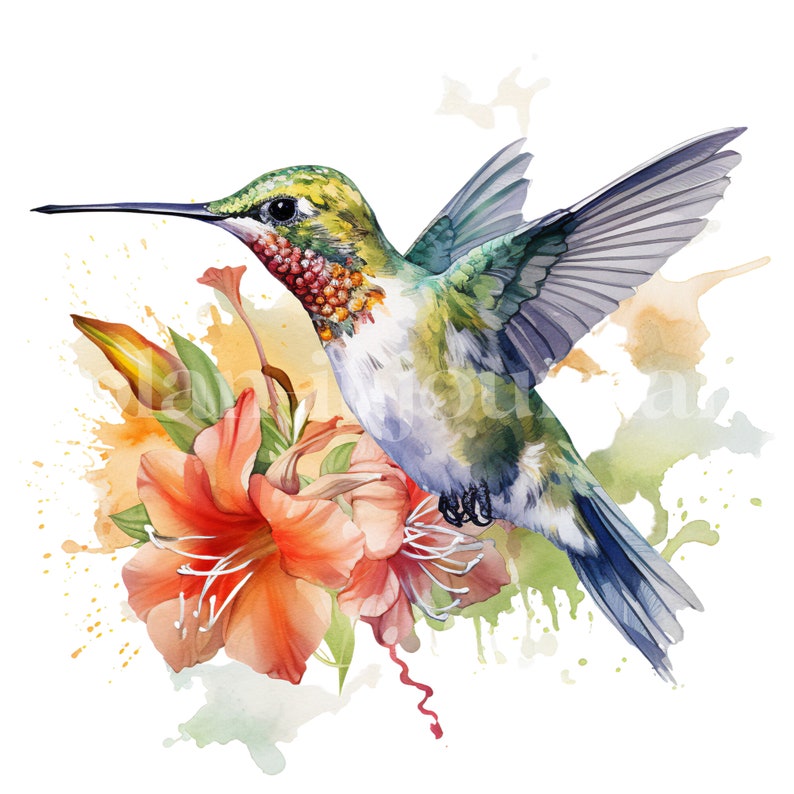 12-whimsical Hummingbird Watercolor in a Botanical Garden - Etsy