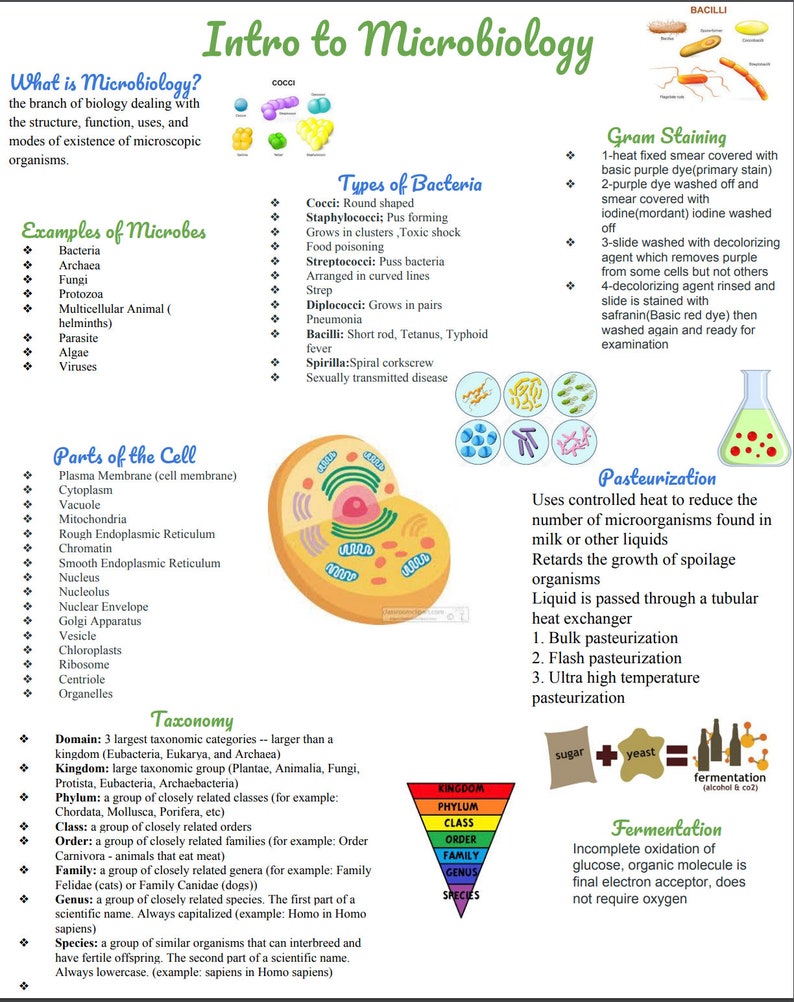 Pre-nursing Printed Study Guide Manual | Etsy
