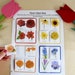 Preschool Printable Flower Colour Matching Game, Montessori Inspired ...