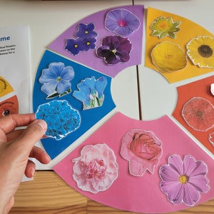 Printable Flower Color Wheel Matching Game, Floral Color Wheel ...